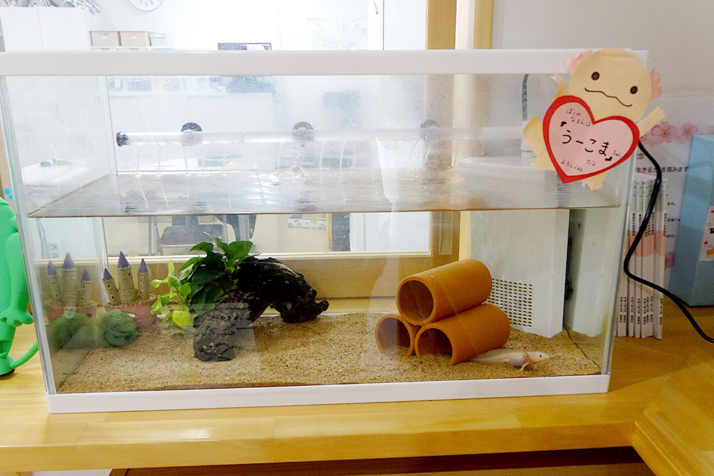 キッズパートナー駒込園──今までの「当たり前」を全職員で客観的に検証し時代にマッチした保育を目指す | 保育士を目指す学生、保育士、保育園の魅力が満載の保育総合情報サイトMIRAKUU