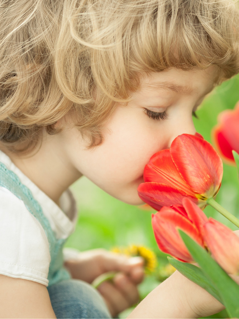 第4回 花育と五感──幼少期に五感を育てる重要性 | 保育士を目指す学生、保育士、保育園の魅力が満載の保育総合情報サイトMIRAKUU